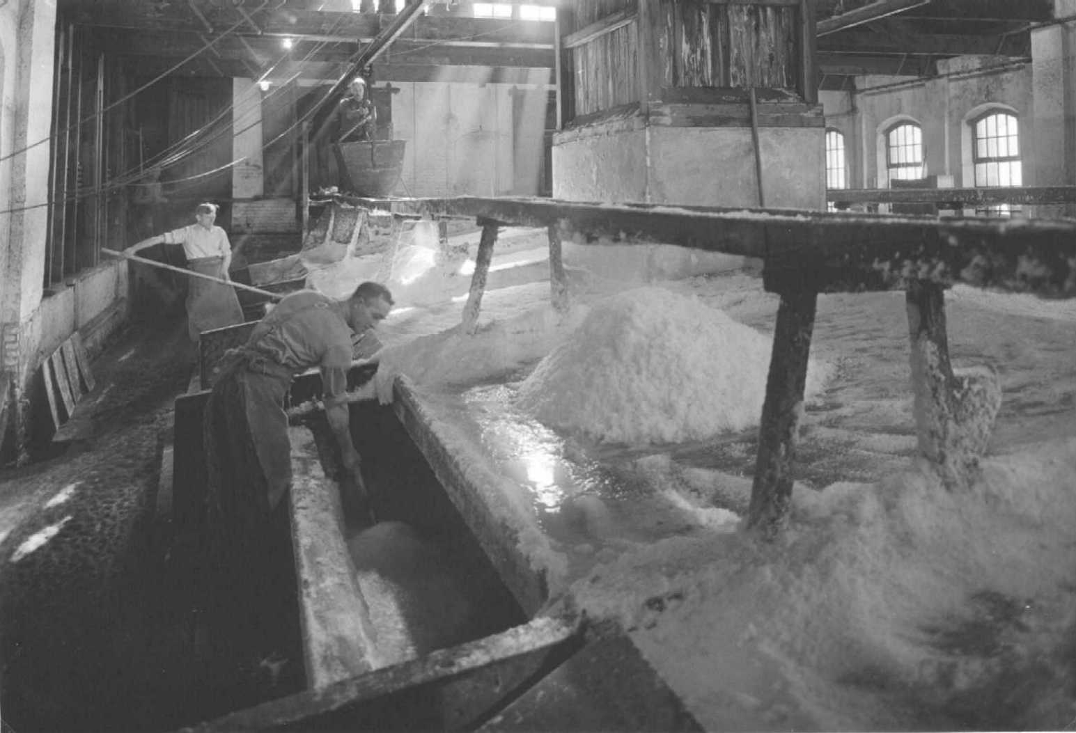 Zoutziederijen – Fabriekofiel
